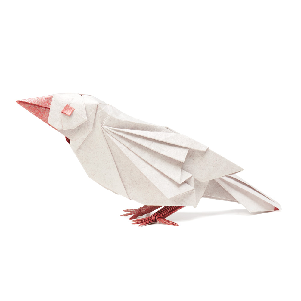 Yamaguchi Makoto's book -New Generation of Origami